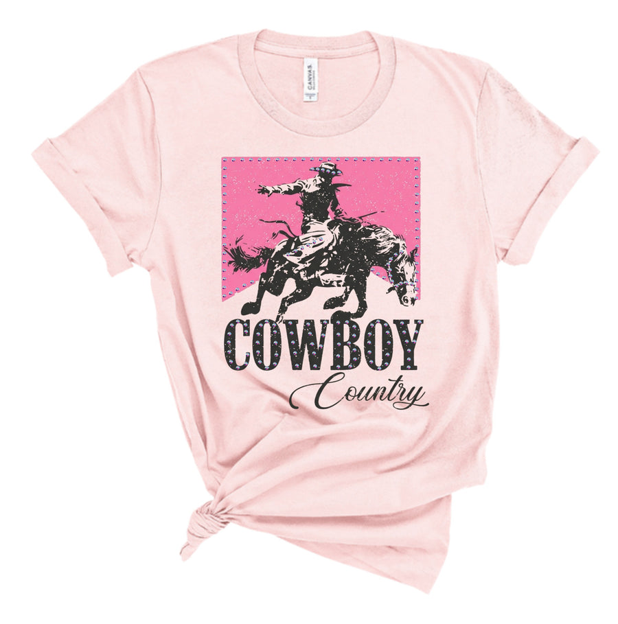 Cowboy Country RV231 – The Crystal Ranch